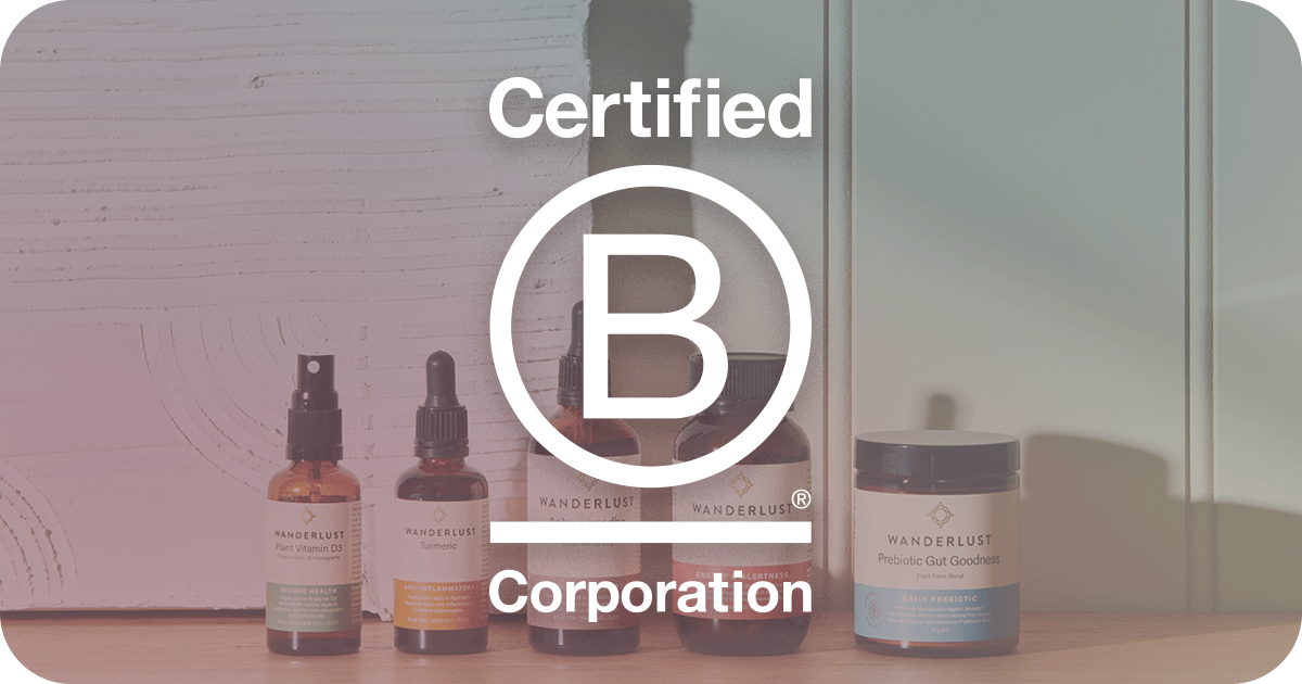 We are proud to be B Corp Certified | Wanderlust Australia